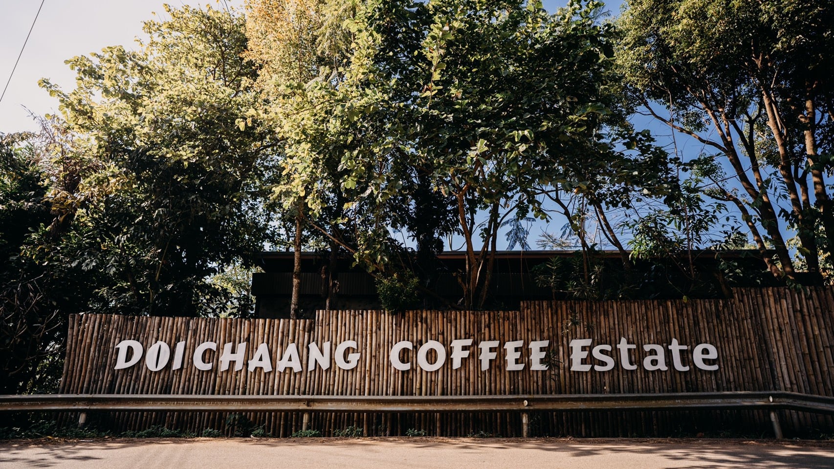 Chiang Rai Tea & Coffee Southern Route - Chiang Rai & Phayao - Amazing ...