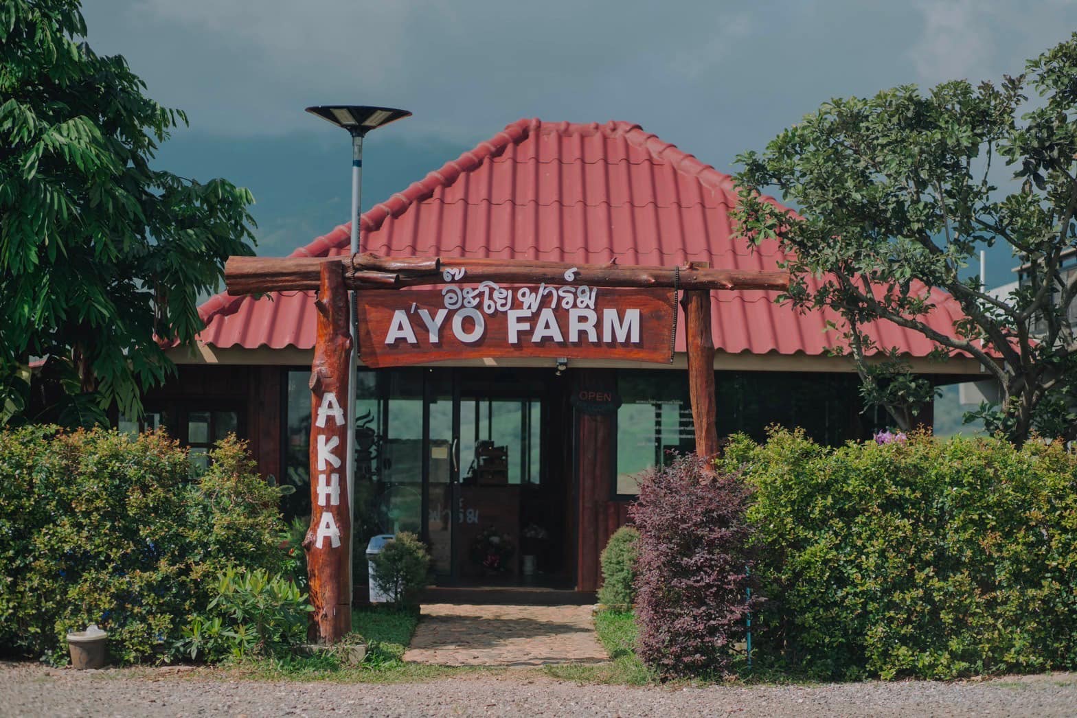 Chiang Rai Tea & Coffee Southern Route - Chiang Rai & Phayao - Amazing ...