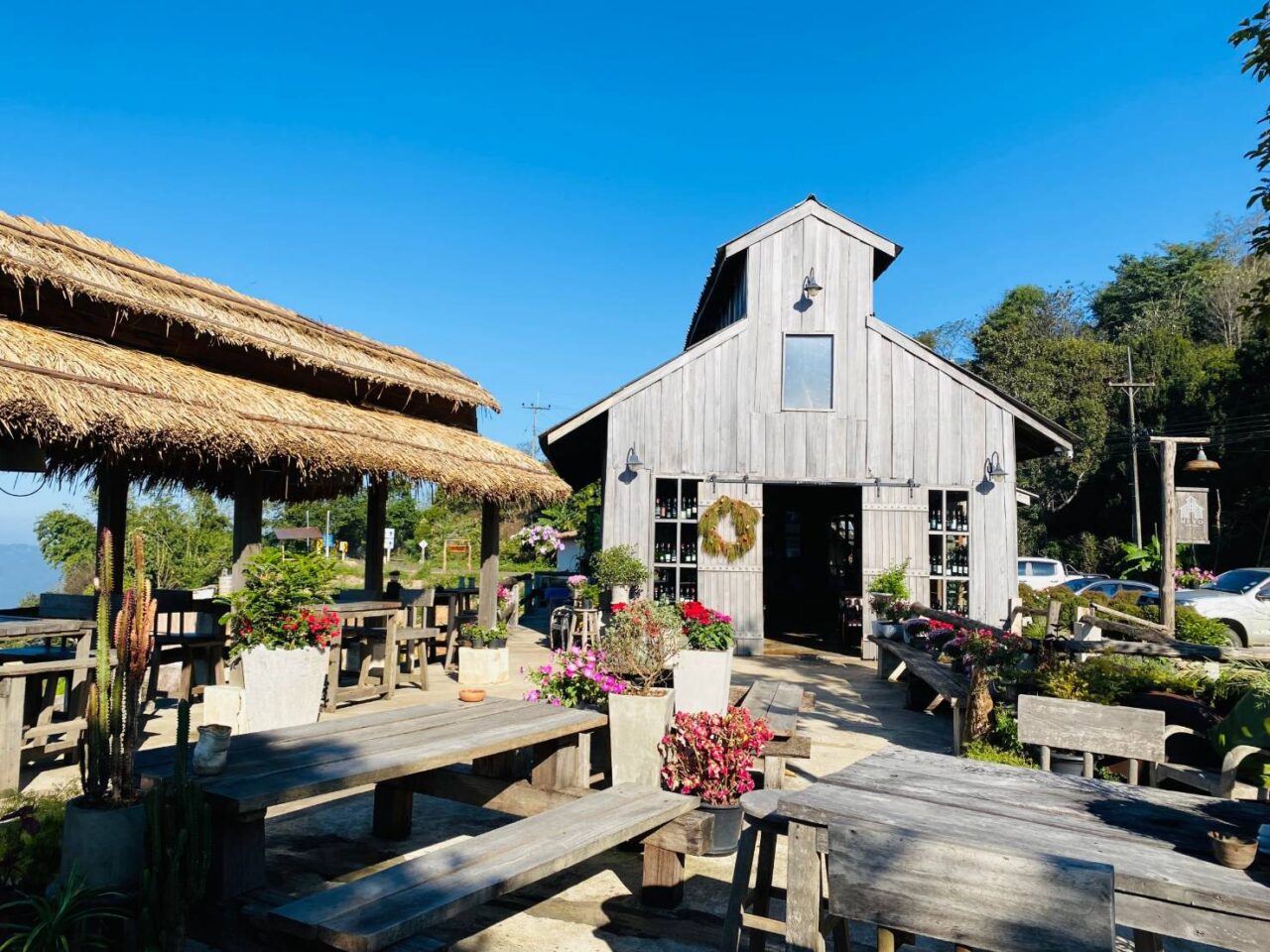 Chiang Rai Tea & Coffee Southern Route - Chiang Rai & Phayao - Amazing ...